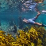 Sea Cave Adventures in Whitianga - What Makes This Tour Stand Out