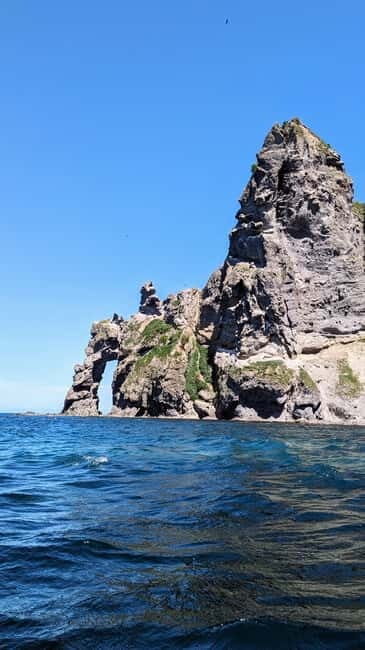 Sea Kayaking Tour - Otaru Coastal Adventure - The Value of the Tour
