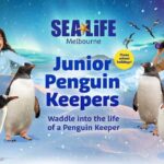 SEA LIFE Melbourne Aquarium Admission Ticket - Exploring the 12 Ecosystems — What to Expect