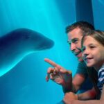 SEA LIFE Sunshine Coast Aquarium Entrance Ticket - Authentic Insights from Visitors