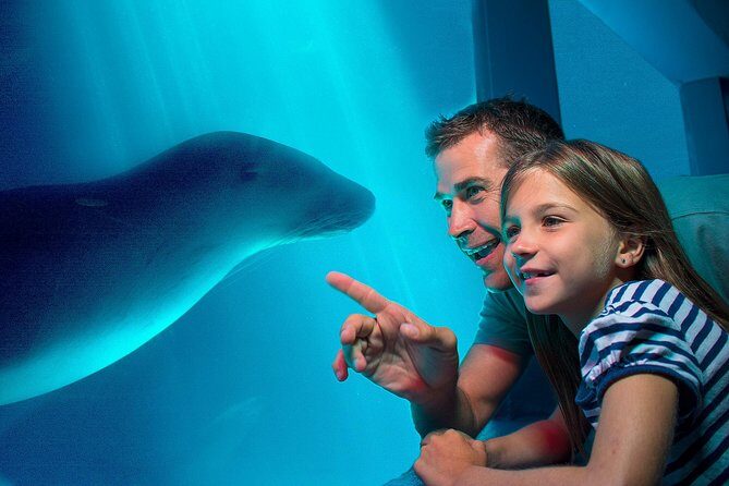 SEA LIFE Sunshine Coast Aquarium Entrance Ticket - Authentic Insights from Visitors