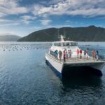 Seafood Odyssea Marlborough Sounds Cruise from Picton - What to Expect on the Water