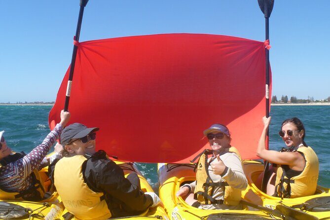 Seal Island and Penguin Island or Point Peron Sea Kayak Tour - The Real Benefits for Travelers