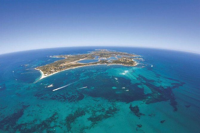 Sealink Bike & Ferry Package from Fremantle - Authentic Experiences Shared by Visitors