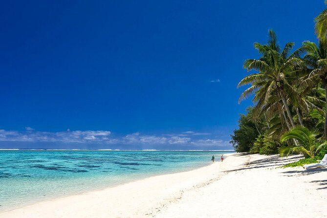Seat in Coach Transfer from Rarotonga Airport to Hotel - A Closer Look at the Transfer Experience