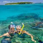 Seawalker Helmet Experience and Green Island Combo from Cairns - What Makes This Tour Stand Out?