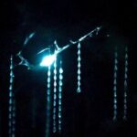 See Auckland's Secret Glow Worms - Analyzing the Value: Price and Experience