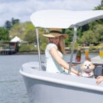 Self Drive Electric Boat Hire in Brisbane - Analyzing the Value