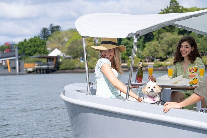 Self Drive Electric Boat Hire in Brisbane - Analyzing the Value