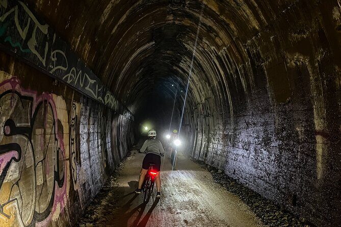 Self Guide E Bike Tour - Husk Distillery, Rainforest & Rail Trail - Who Will Love This Tour?