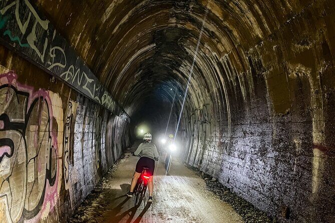 Self Guided E Bike Tour - Unicorn Falls, Rainforest & Rail Trail - Who Will Love This Tour?