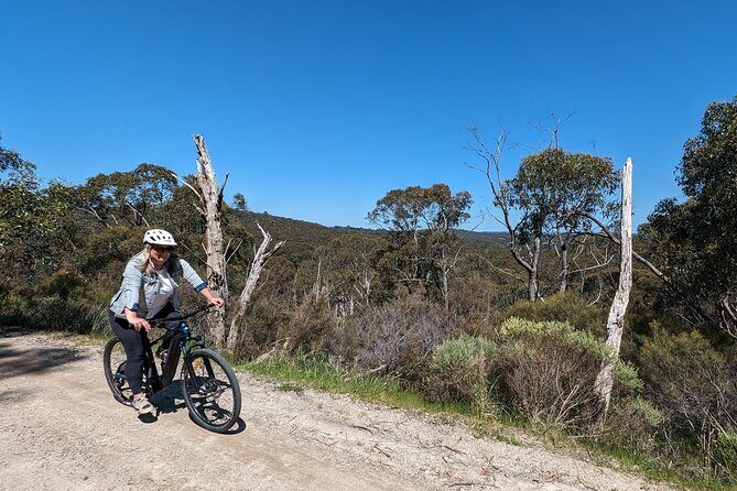 Self Guided Ebike Winery Tour in the Adelaide Hills - Why This Tour May Be Perfect For You