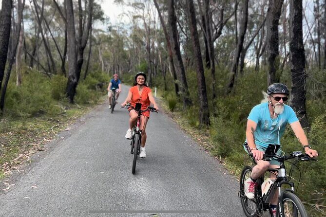 Self Guided Electric Bicycle Tour of Bundanoon - The Sum Up