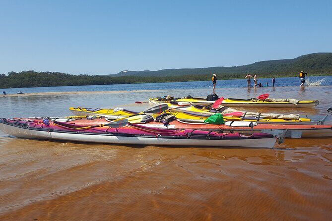 Self-Guided Noosa Everglades Kayak Tour - The Experience in Detail
