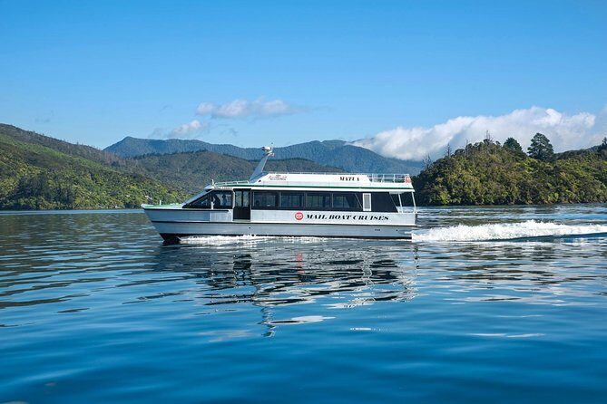 Self-Guided Queen Charlotte Track Walk from Picton - Who Would Love This Experience?