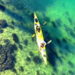 Self-Guided Sydney Middle Harbour Kayak 3 Hour Tour by Double Kayak - Why the Reviews Spark Confidence