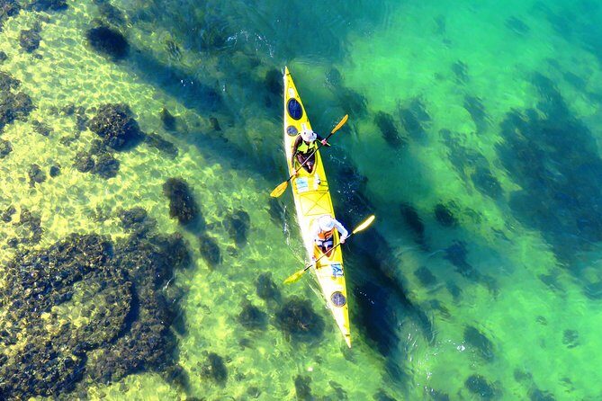 Self-Guided Sydney Middle Harbour Kayak 3 Hour Tour by Double Kayak - Why the Reviews Spark Confidence