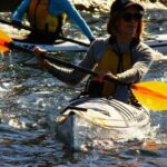 Self-Guided Sydney Middle Harbour Kayak 3 Hour Tour by Single Kayak - Practical Tips for Paddlers