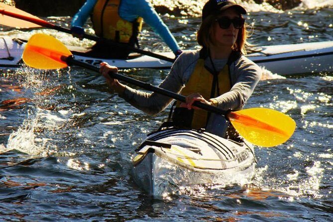Self-Guided Sydney Middle Harbour Kayak 3 Hour Tour by Single Kayak - Practical Tips for Paddlers