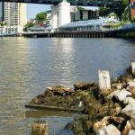 Self-Guided Walking Quest with Brisbane Colonial Mystery - FAQs