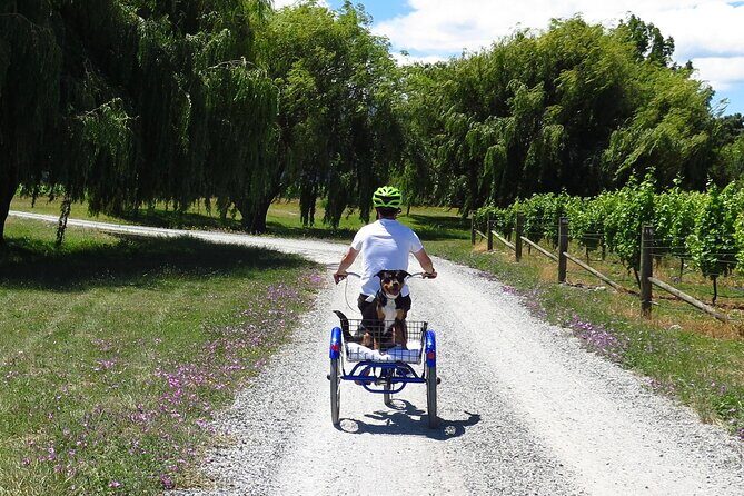 Self-Guided Wine Tours by Bike with Lorelle & Greg - What You Can Expect During the Day
