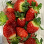 Seoul: Alpaca/Nami/Eobi(+RailBike, Strawberry optional) Tour - What’s Included and What’s Not