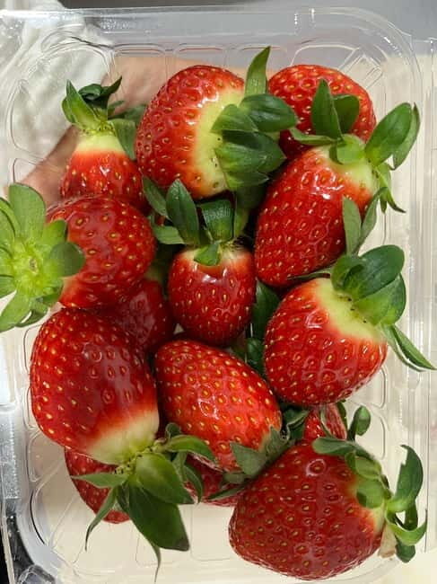 Seoul: Alpaca/Nami/Eobi(+RailBike, Strawberry optional) Tour - What’s Included and What’s Not