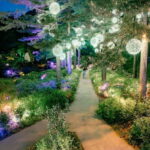 Seoul: Alpaca World and Nami Island (with Garden / Railbike) - The Itinerary in Detail