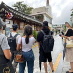 Seoul: Bukchon Hanok Village Walking Tour - Who Is This Tour Best For?