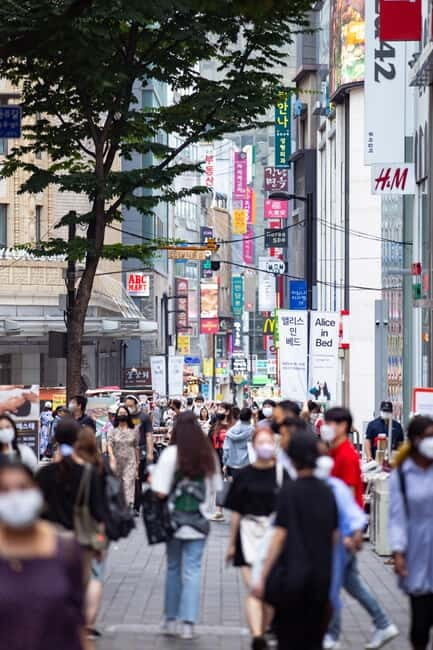 Seoul: Bus & Minivan Tours - Deep Dive into the Itinerary