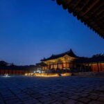 Seoul: Bus & Minivan Tours - Who Is This Tour Best For?