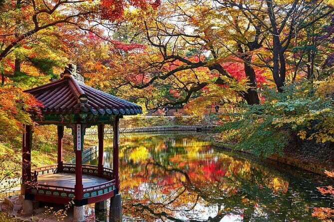 Seoul City Secret Garden Palace Walking Tour - Authentic Experience and Value