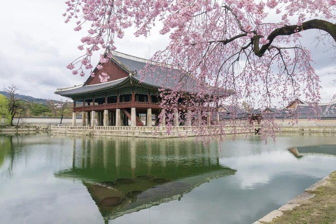 Seoul City Tour - Free Photo Service - The Practical Side: Logistics and Value
