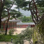 Seoul: Deoksugung Palace Heritage Walking Tour - Exploring Jeongdong-gil: Seouls Diplomatic and Cultural Heart