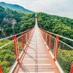 Seoul: DMZ, 3rd Tunnel and Optional Suspension Bridge Tour - Who Will Love This Tour?