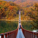 Seoul: DMZ Tour & Suspension Bridge (Option English/Spanish) - The Value of the Experience