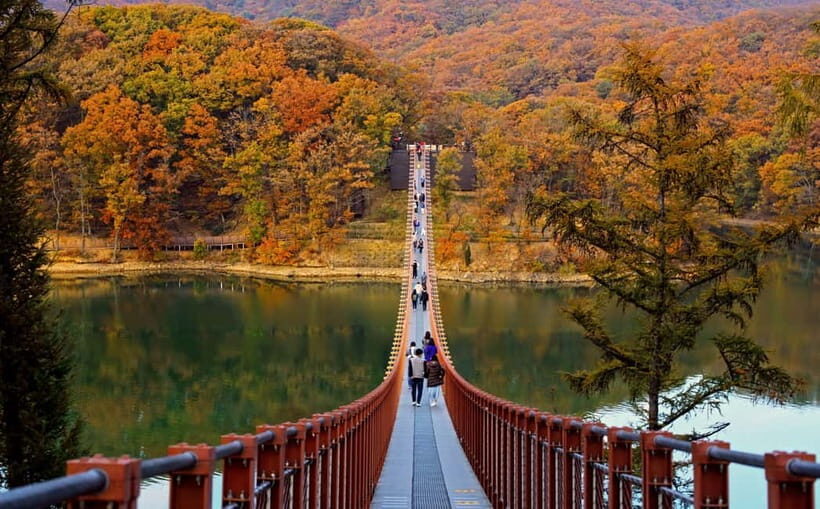Seoul: DMZ Tour & Suspension Bridge (Option English/Spanish) - The Value of the Experience
