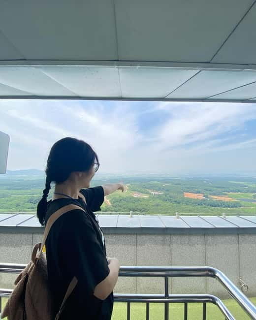 Seoul: DMZ Tour with 3rd Tunnel and Suspension Bridge Tour - Analyzing the Value