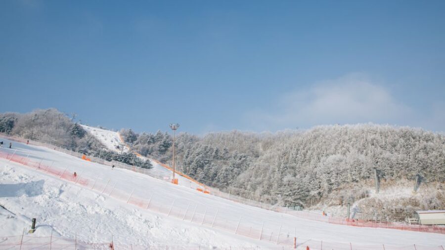 Seoul: Elysian Gangchon Winter Ski Resort Fun Day Tour - The itinerary: making the most of the day