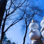 Seoul: Elysian Gangchon Winter Ski with Nami Island Day Tour - Who Is This Tour Best For?