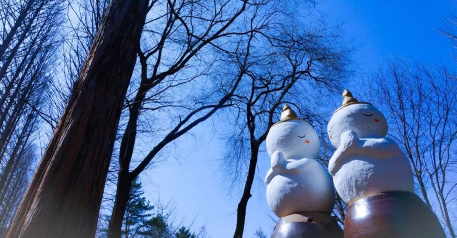 Seoul: Elysian Gangchon Winter Ski with Nami Island Day Tour - Who Is This Tour Best For?