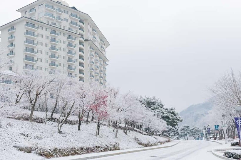 Seoul: Elysian Ski Resort & Eobi Ice Valley - Analyzing the Value