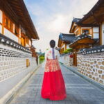 Seoul: Gimpo DMZ to Aegibong, Gochujang DIY, Hanok (EG Tour) - Who Will Love This Tour?
