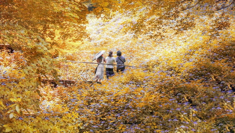 Seoul: Hwadam Forest & Namhansanseong & Korean Folk Village - Stepping into History at Namhansanseong Fortress