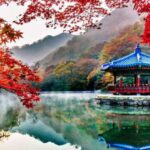 Seoul: Hwadamsup & Luge & Korea Folk Village One Day Tour - The Thrills at LuGe 360: Speed, Twists, and Breathtaking Views
