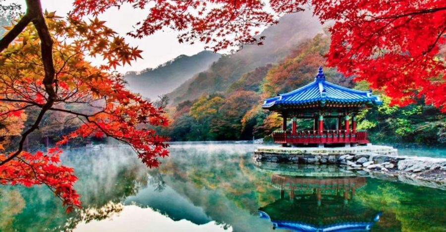 Seoul: Hwadamsup & Luge & Korea Folk Village One Day Tour - The Thrills at LuGe 360: Speed, Twists, and Breathtaking Views