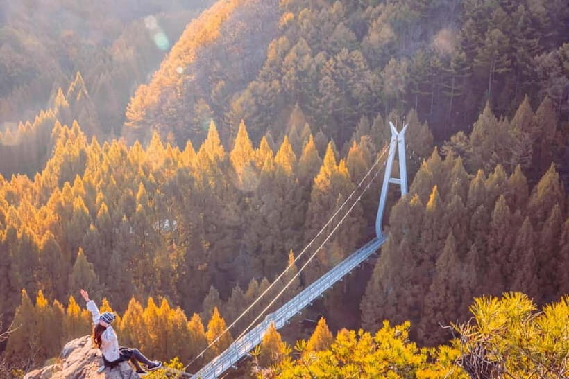 Seoul: Jangtaesan Recreational Forest Autumn Foliage Tour - What’s Included & What’s Not