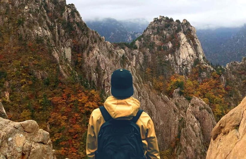 Seoul: Mt. Seorak & Nami Island & Eobi Ice Valley Day Tour - What You Get for the Price