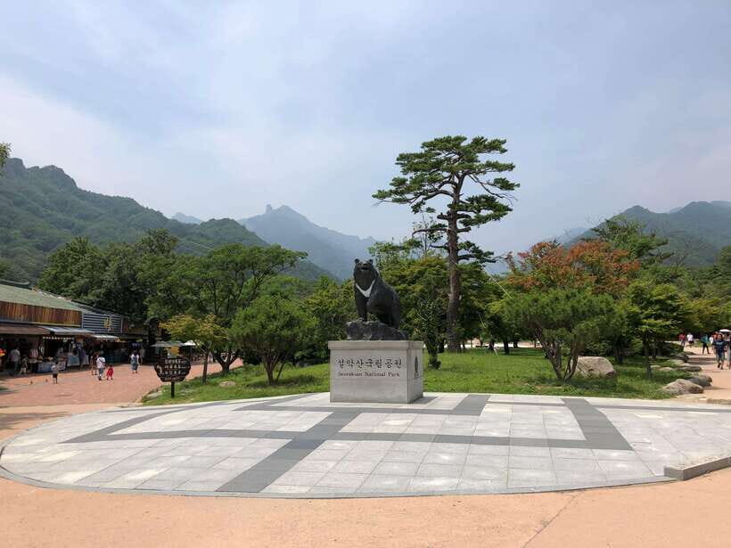 Seoul: Mt.Seorak(+CableCar Option)+Sokcho Fish Market&Beach - Authenticity and Real-World Experiences