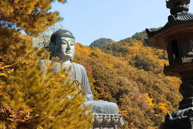 Seoul: Mt. Seoraksan National Park Autumn Foliage Day Tour - What to Expect: A Detailed Breakdown